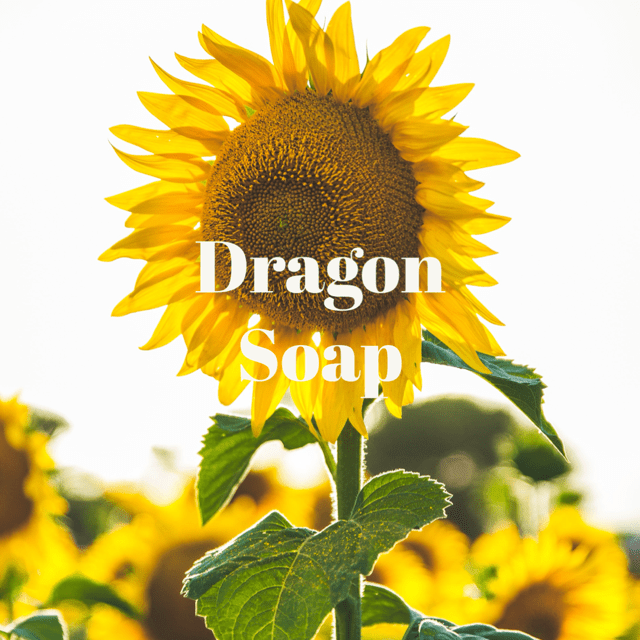 Dragon Soap - Clearance – Sugly LLC